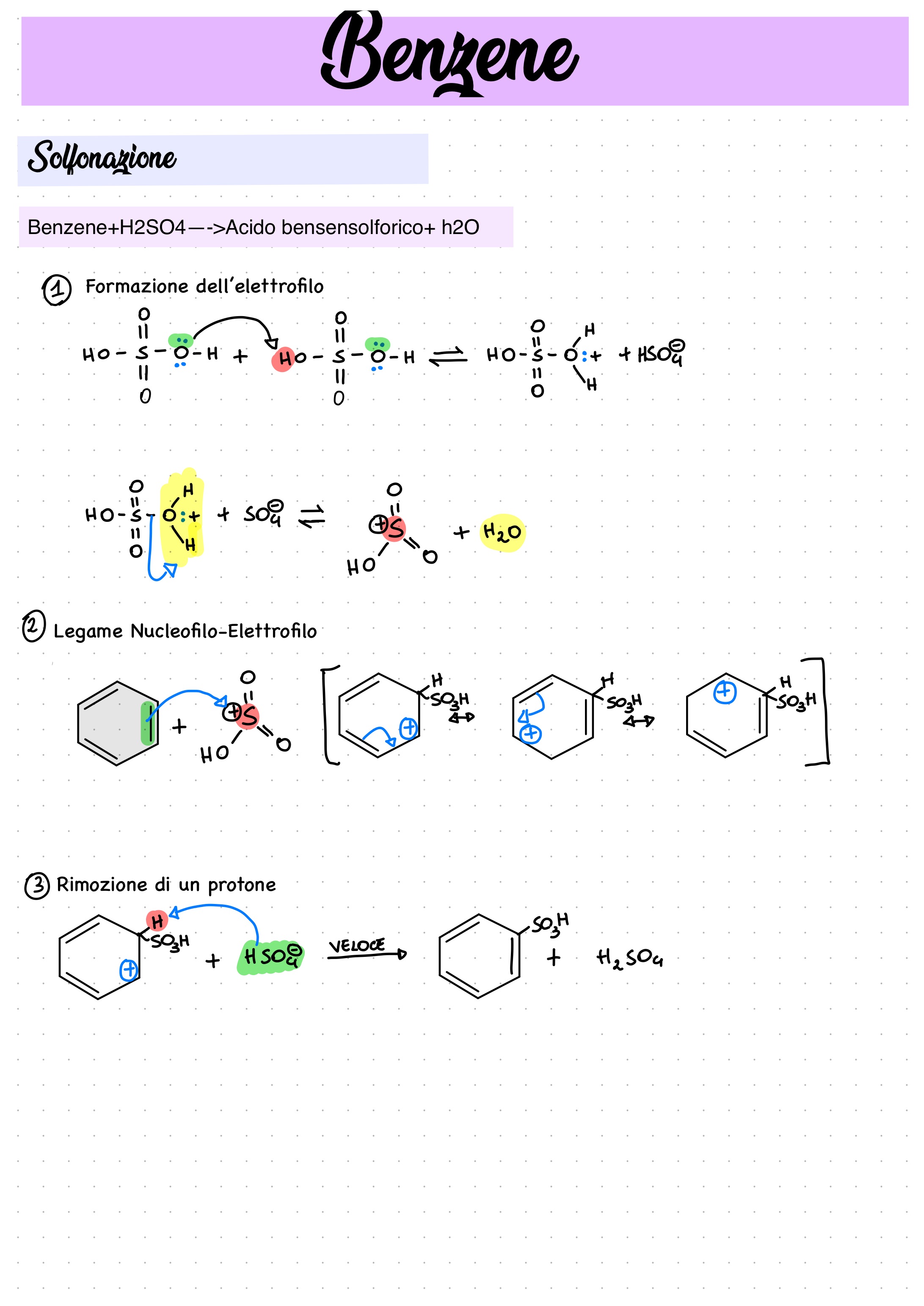 Pacchetto Completo Di Chimica Organica Schemi Di Reazione Meccanismi