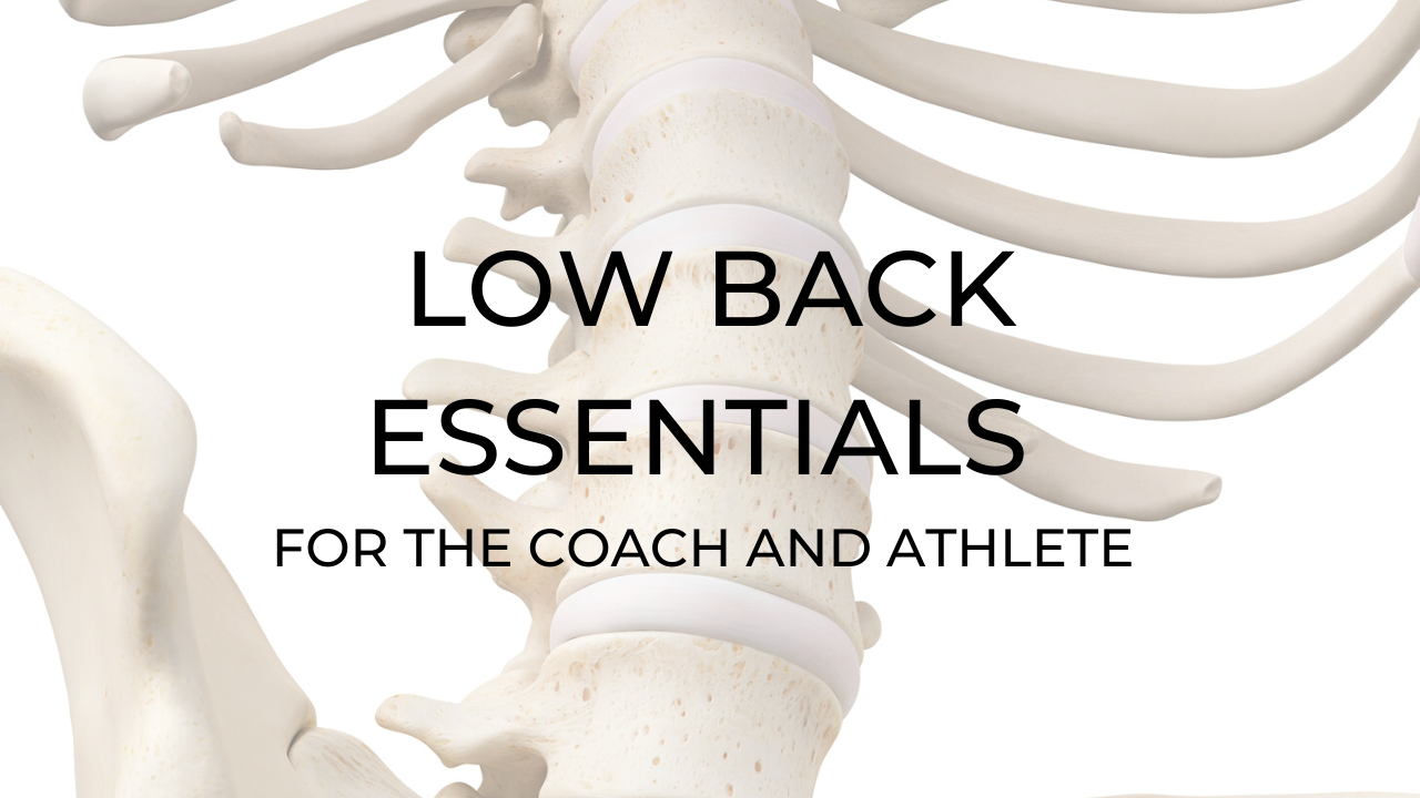 Low back: Injury and training