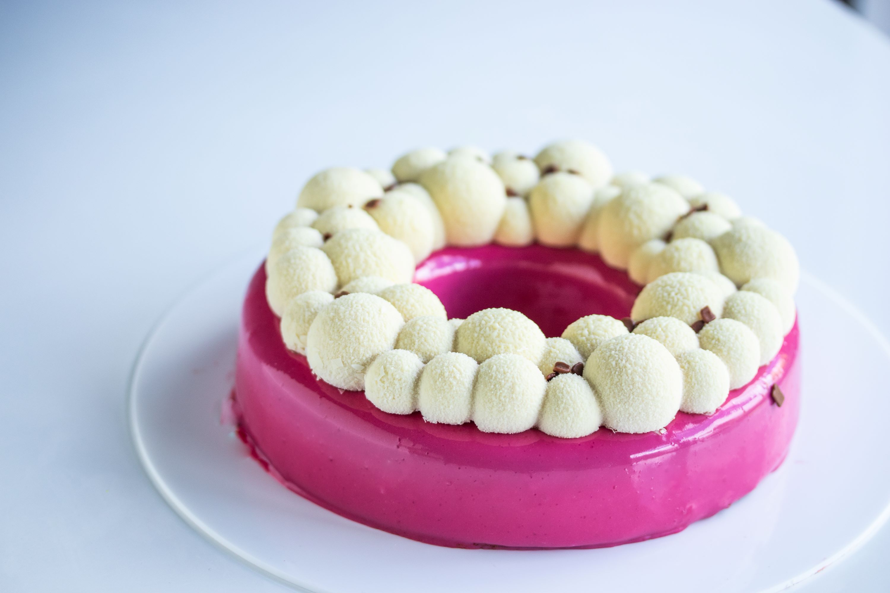 Alles over de entremet!